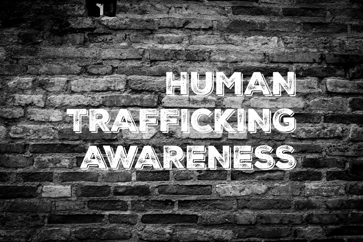 NV ELearn: All courses